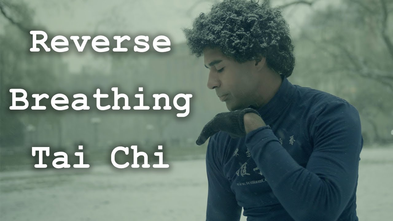 Reverse Breathing Tai Chi with Coach Jan Lucanus - YouTube