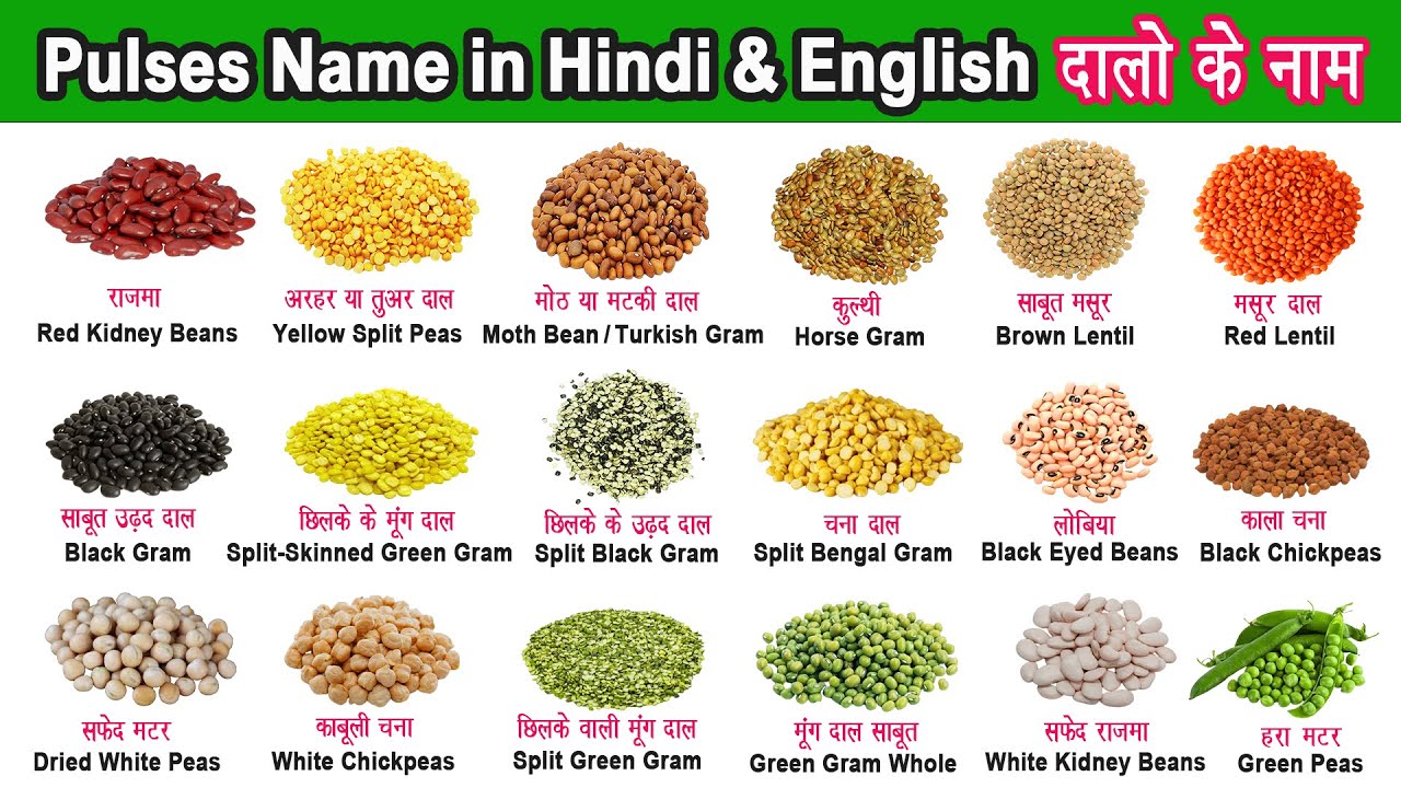 Pulses: Names in Hindi & English (Legumes, Lentils & Beans) - YouTube