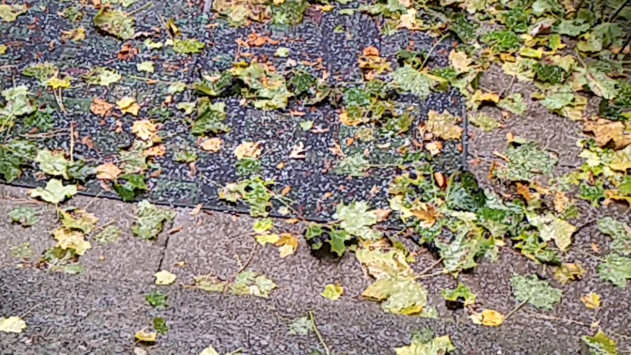 little hails - YouTube