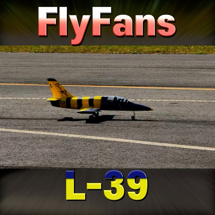 L-39 Baltic Bees, FlyFans 64mm EDF - YouTube