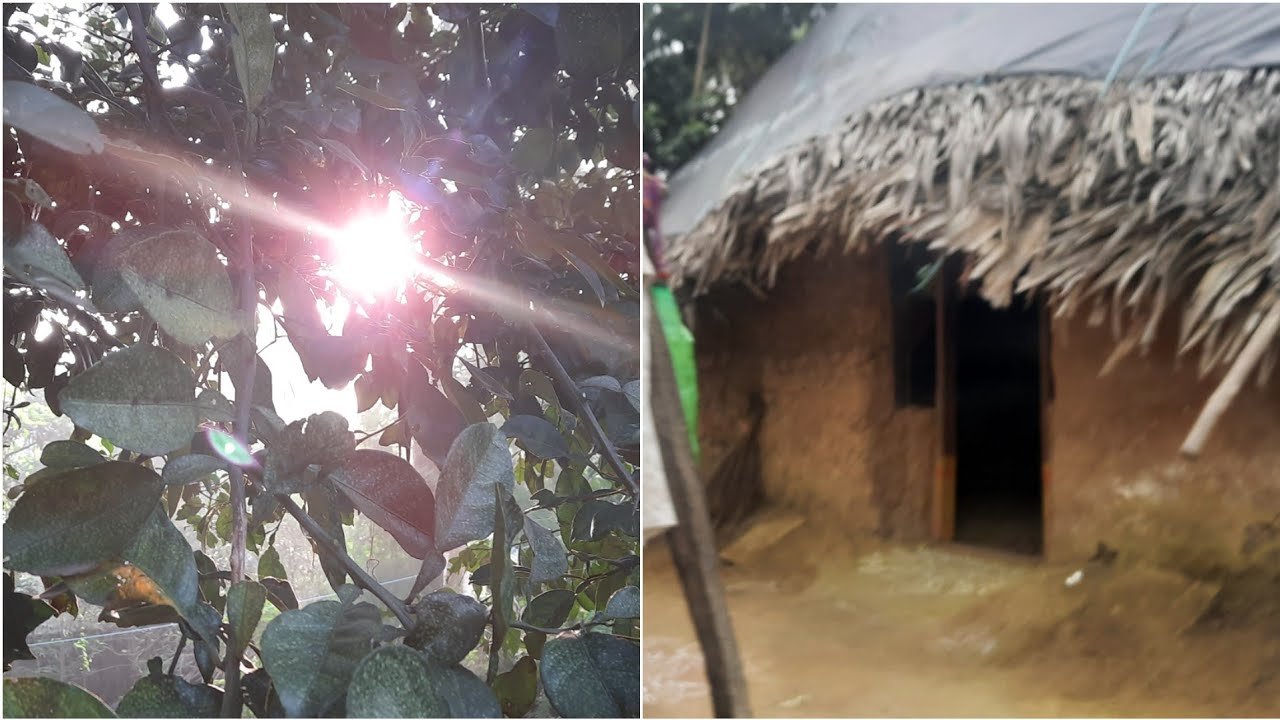 మా ఊరిలో యానాది సంఘం.#Yanadi sangam yanadi tribes lifestyle # ...