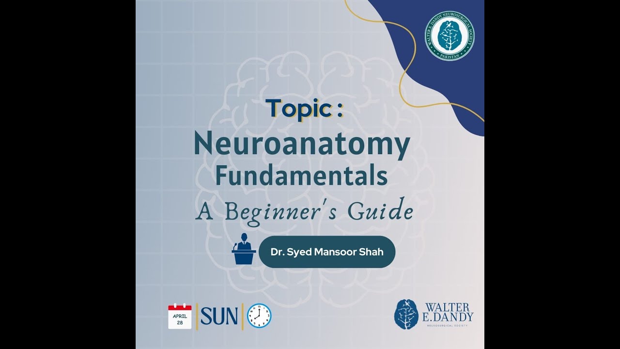 Neuroanatomy Fundamentals | A Beginner's Guide - YouTube