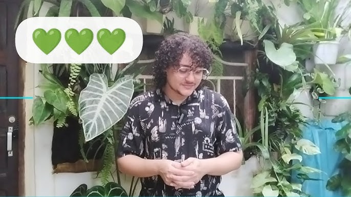 Cobertura Vegetal Con Hojas En Forma De Corazón Las 15 Mejores