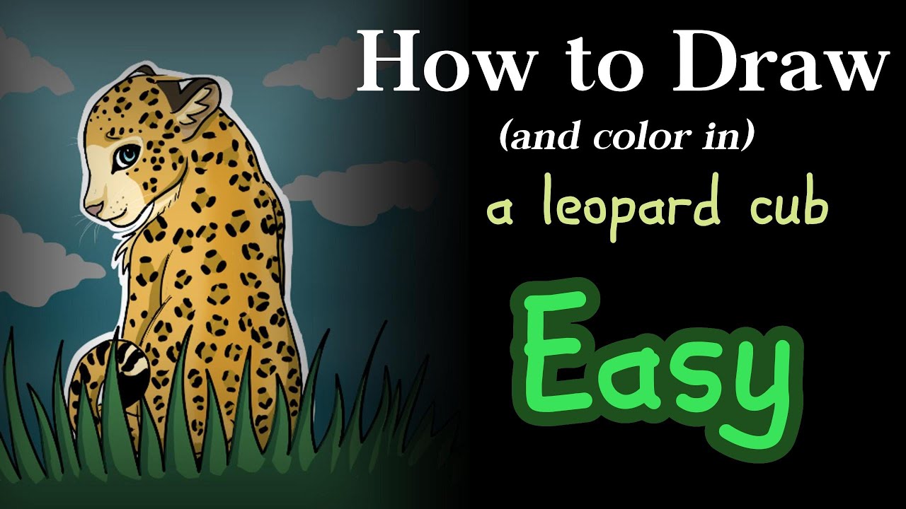How to Draw (and color in) a leopard cub Easy 🐆 - YouTube