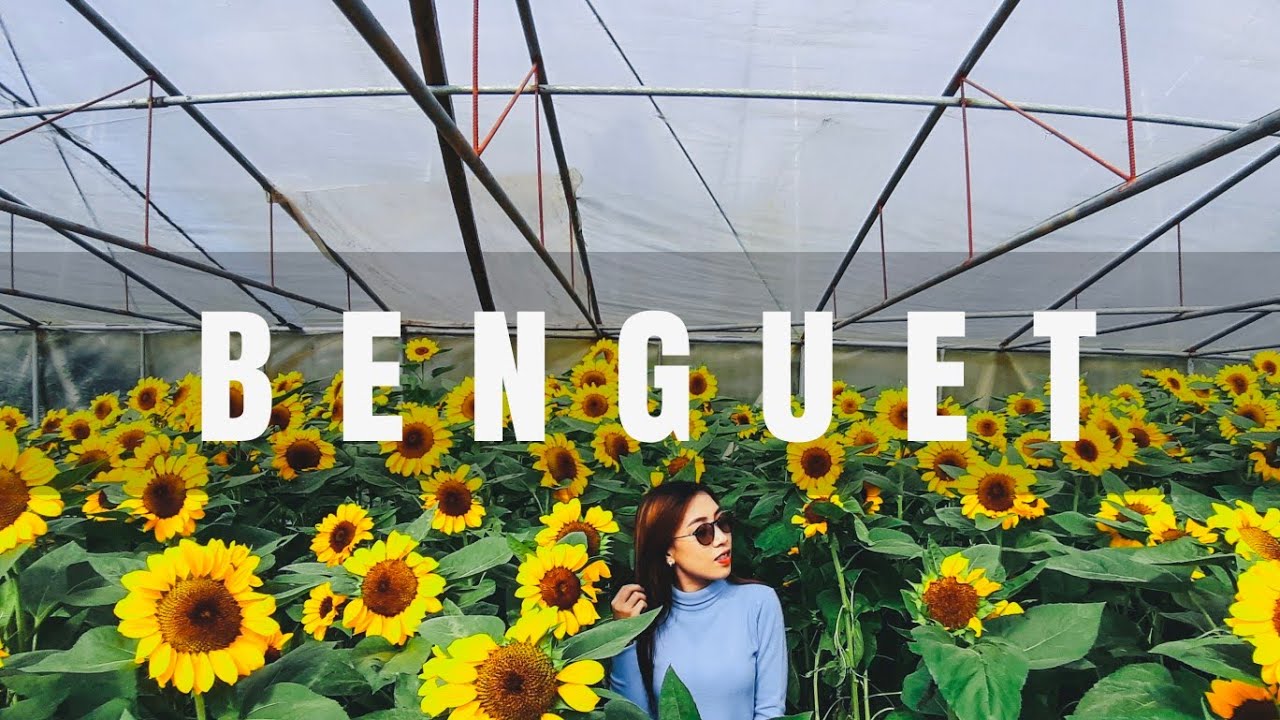 NORTHERN BLOSSOM FLOWER FARM | ATOK BENGUET | TRAVEL VIDEO - YouTube