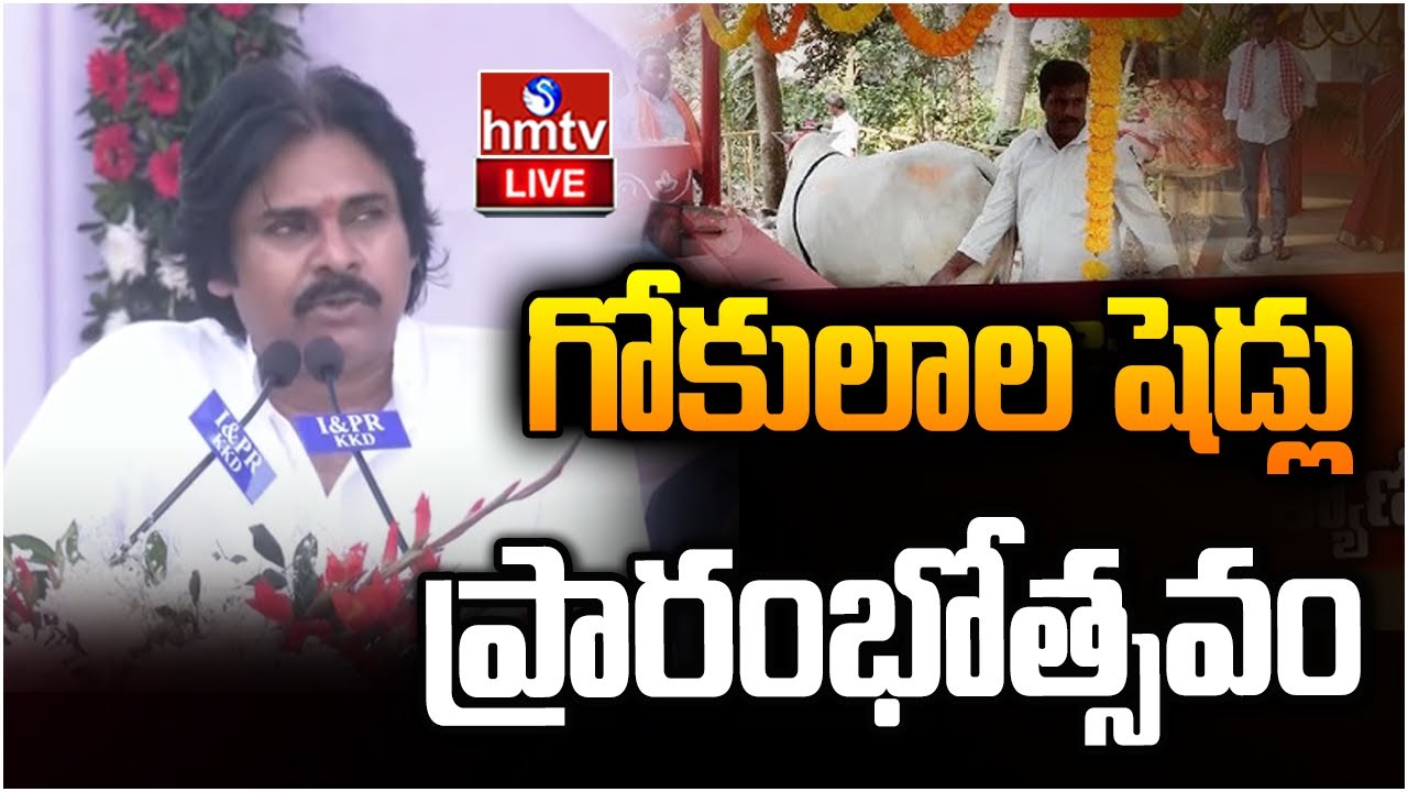 Deputy CM Pawan Kalyan LIVE | గోకులాల షెడ్లు ప్రారంభోత్సవం | Pithapuram | hmtv - YouTube