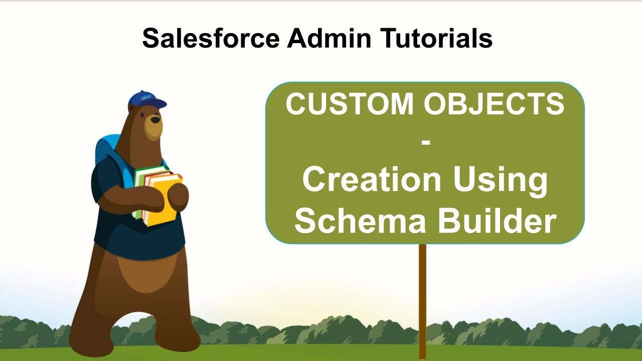 How To Create Custom Objects Custom Objects Using Schema Builder Salesforce Tutorial Youtube 4468