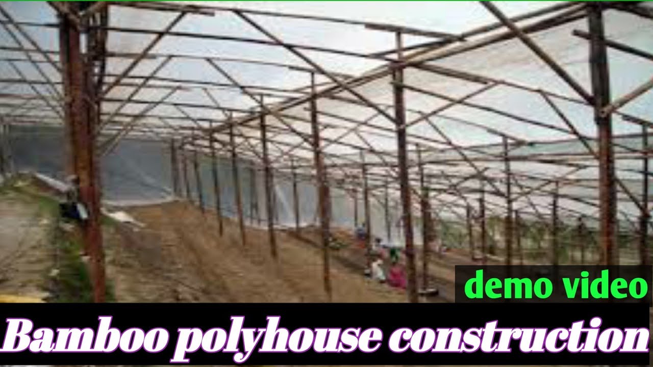 How To Construct Polyhouse. ||bamboo polyhouse construction in Andhra Pradesh||bamboo polyhouse ...