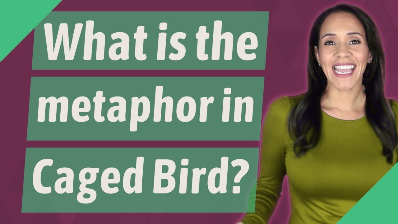 What Is The Metaphor In Caged Bird YouTube what-is-the-metaphor-in-caged-bird-youtube