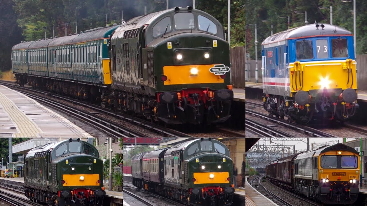 Trains of the Week - Episode 8 - 02/09/24 to 08/09/24 - Ft. 37667 and ...