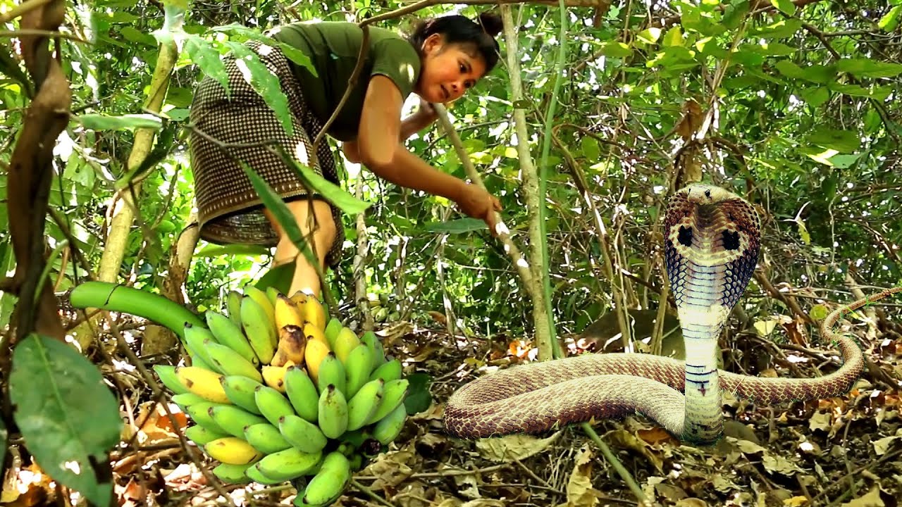 Wow woman picking Banana meet snake - Cook snake eating banana recipe ...