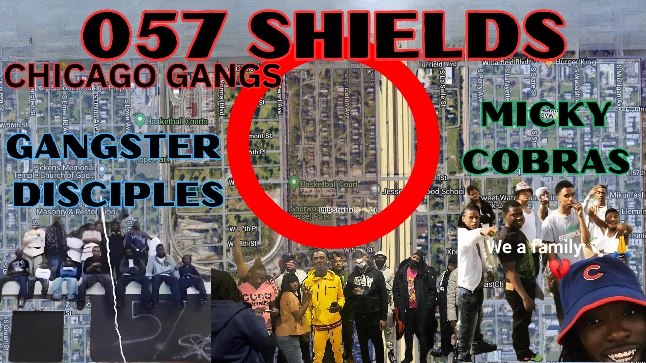 057 Shields: The Gangster Disciple and Micky Cobra Set Clashing with ...
