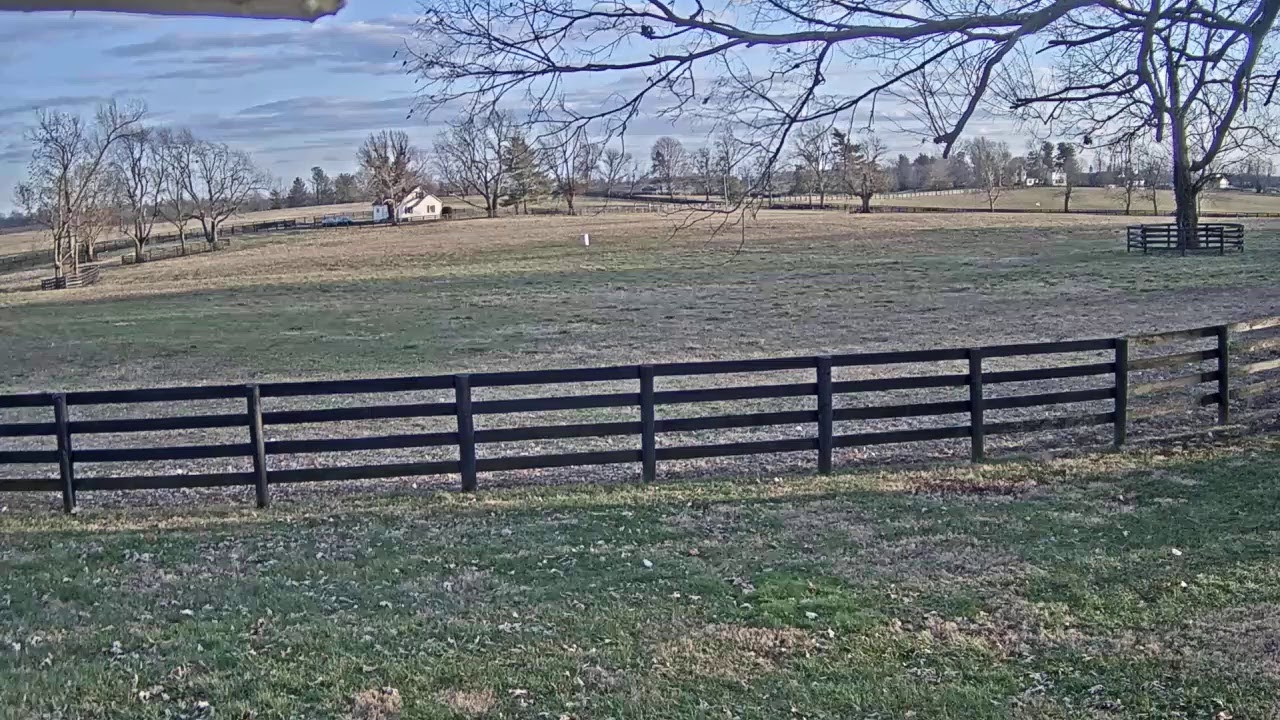 Magical World Paddock - YouTube