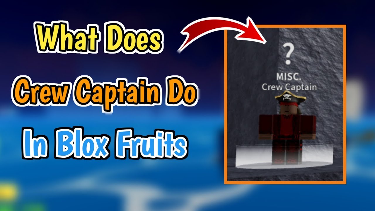 What Does Crew Captain Do In Blox Fruits | How To Talk With Crew Captain In Blox Fruits - YouTube
