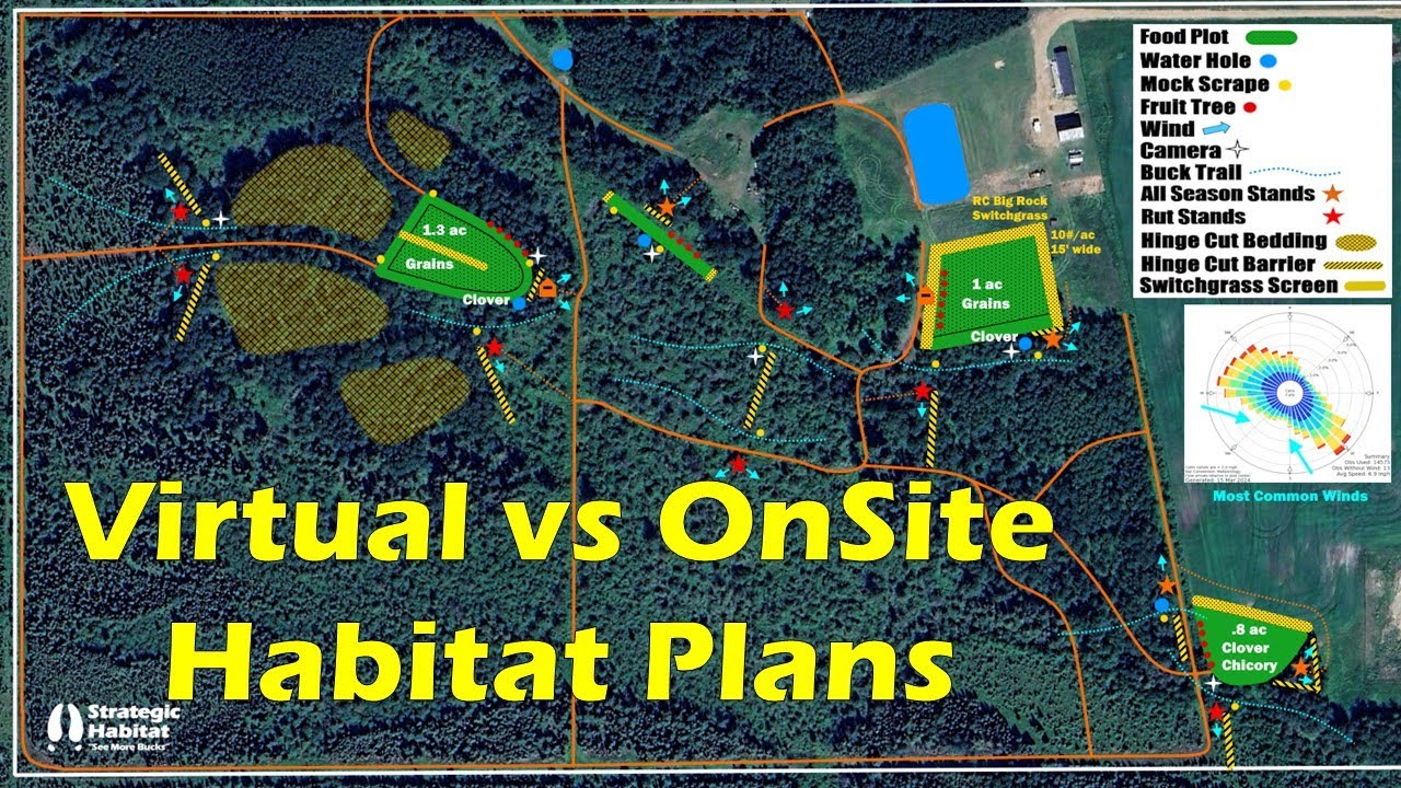 How Virtual Deer Habitat Plans Work On Remote And Small Properties ...