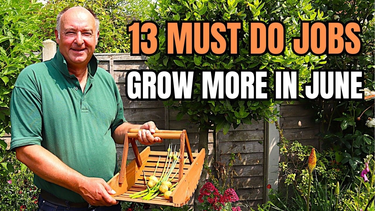 June Vegetable Garden Jobs – 13 Must Do Tasks for Big Harvests - YouTube