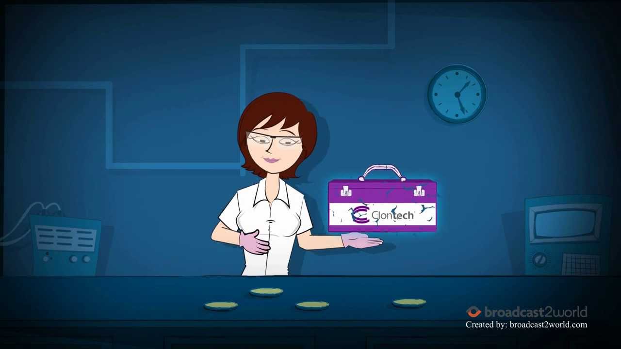 Animated Web Video For Infusion | Clontech Laboratories,Inc. - YouTube