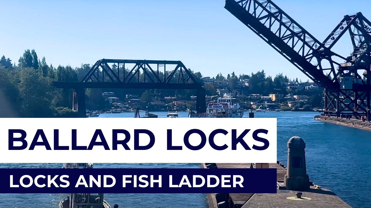 Seattle Ballard Locks & Salmon Ladder Tour - YouTube
