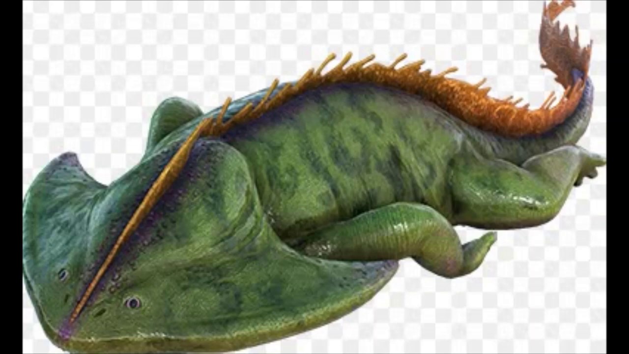 Diplocaulus: Prehistoric Profiles- Everything you need to know about ...