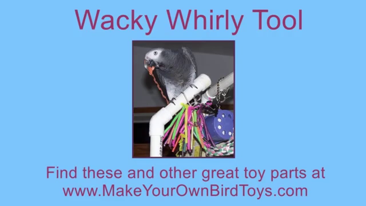 Make Your Own Bird Toys Wacky Whirly Tool - YouTube