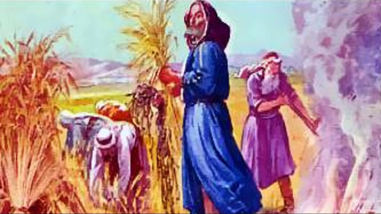 Evangelio San Mateo 13, 24 43 - YouTube