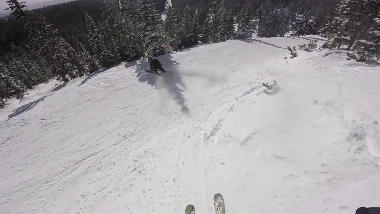 Winter Park Tree Run - YouTube