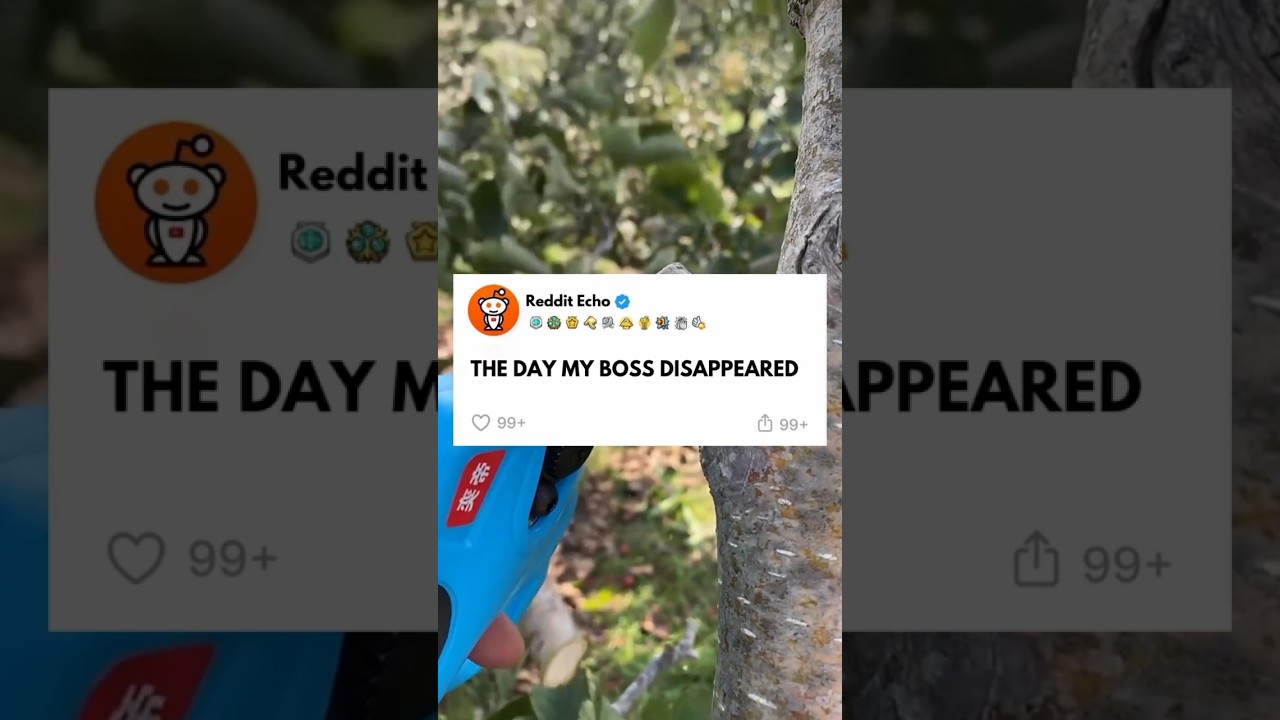 The Day My Boss Disappeared | Reddit Story #shorts - YouTube