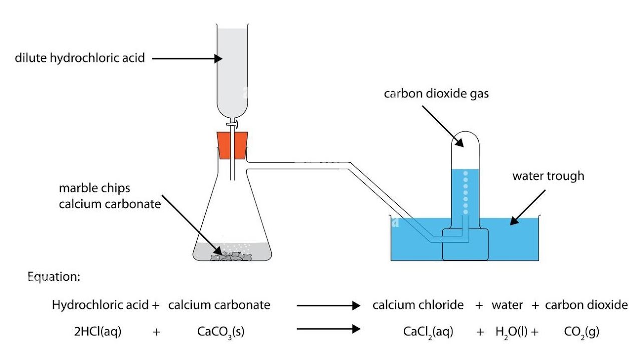 How to draw laboratory preparation of carbon dioxide|| #carbon_dioxide ...
