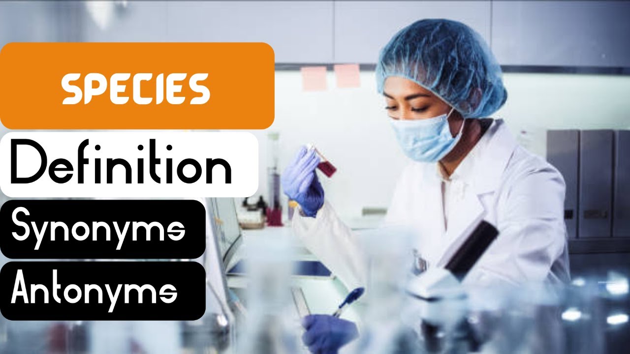 Species Pronunciation | Species Definition | Species Synonyms | Species ...