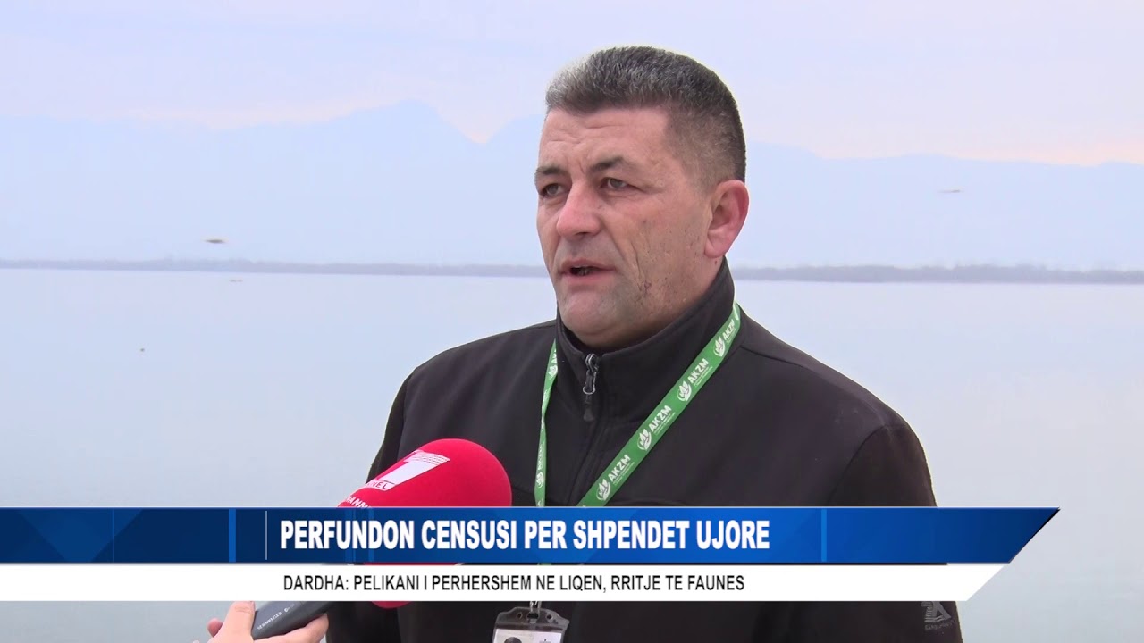 PERFUNDON CENSUSI PER SHPENDET UJORE - YouTube