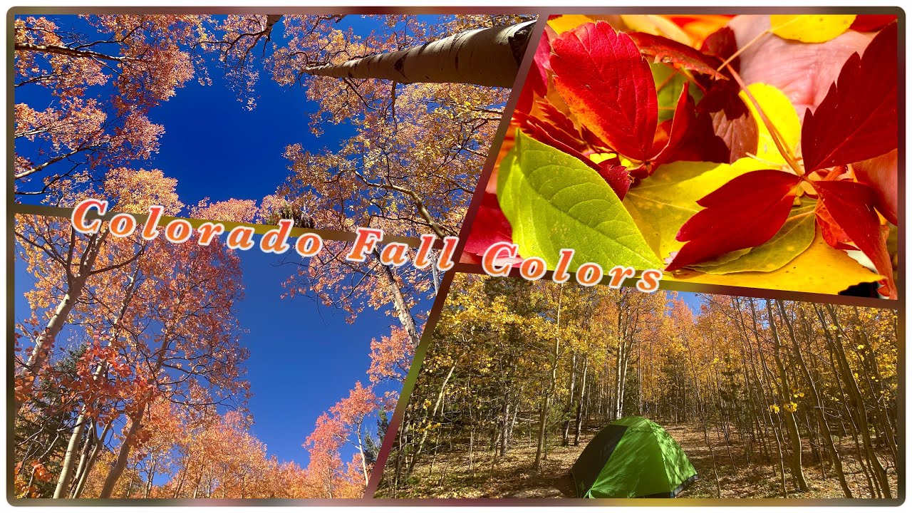 Enchanting Autumn 2021 Relaxing Music, River Sound. Colorado Fall ...