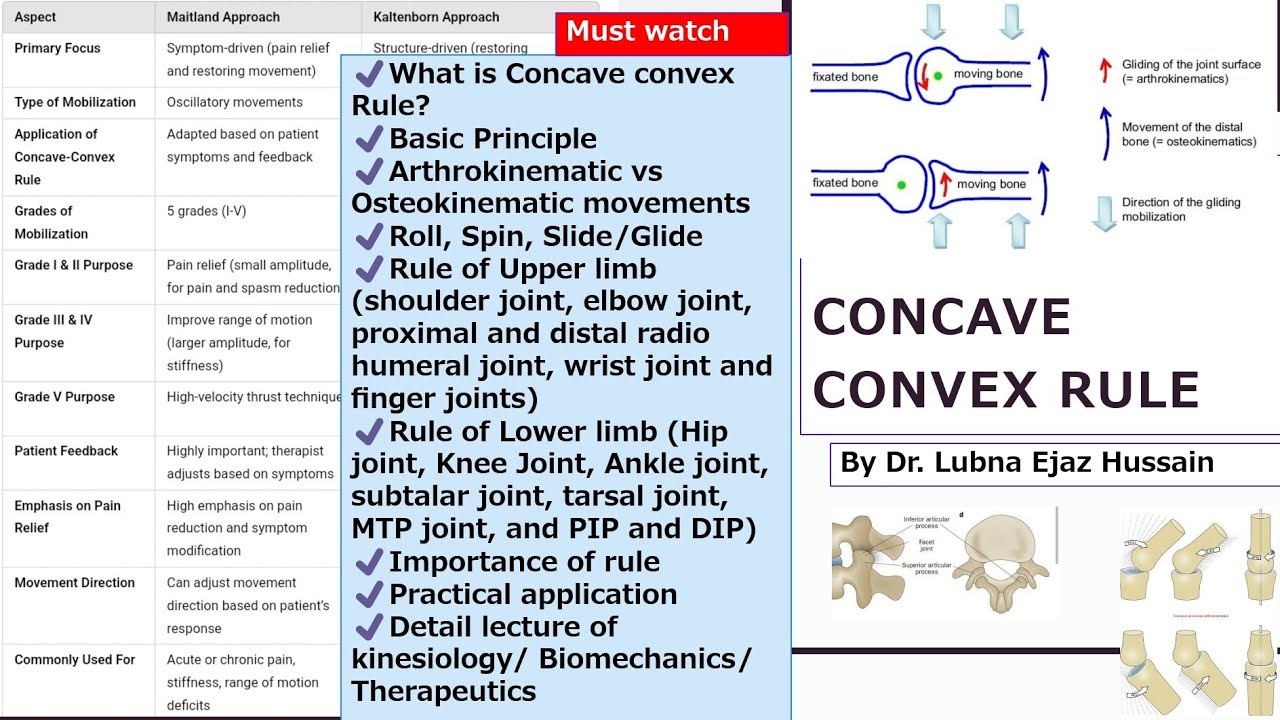 Concave Convex Rule | Kaltenborn approach| All Upper limb & Lower Limb ...