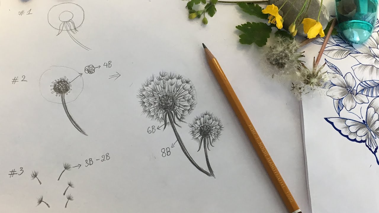 Hướng dẫn vẽ hoa Bồ công anh dễ dàng -The easiest way to draw ...