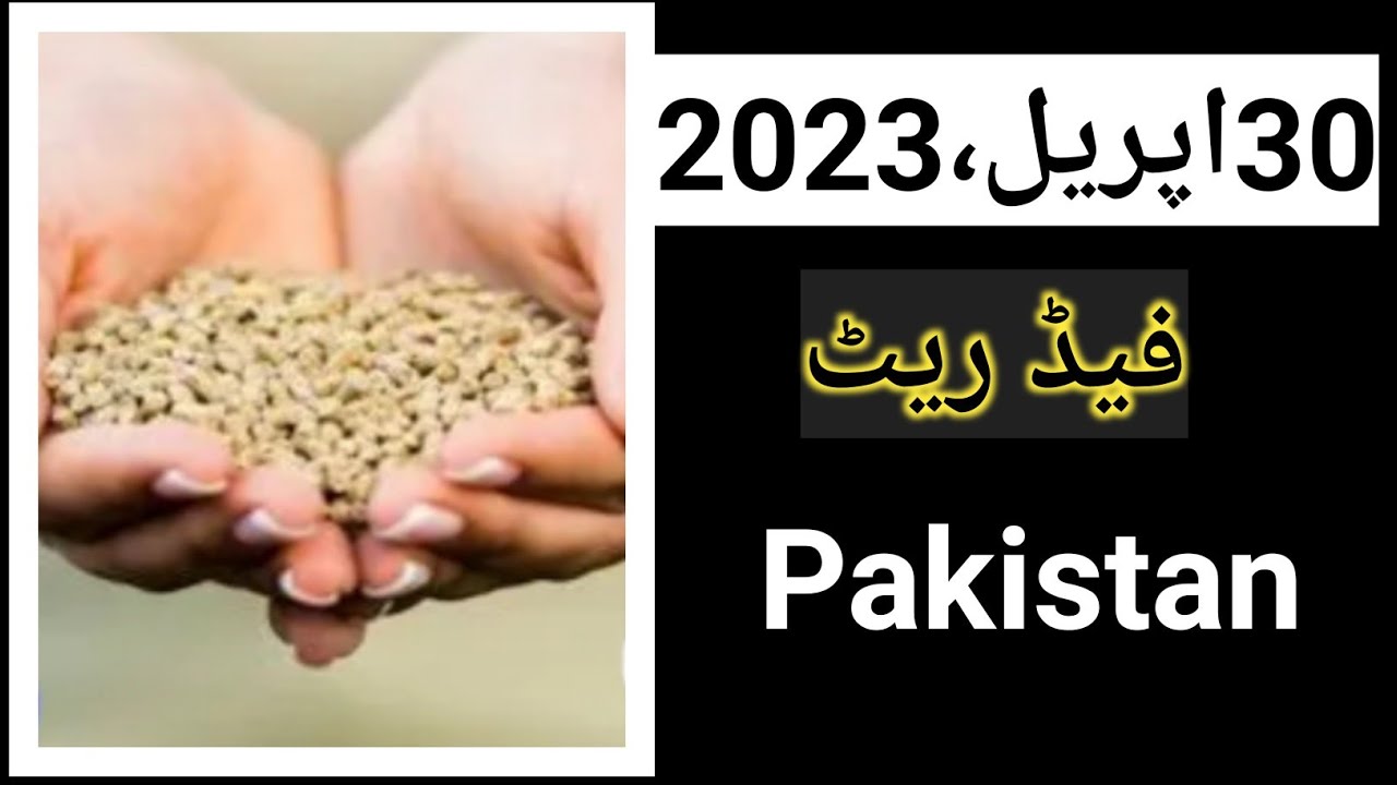 poultry-feed-rate-in-pakistan-30-april-2023-youtube
