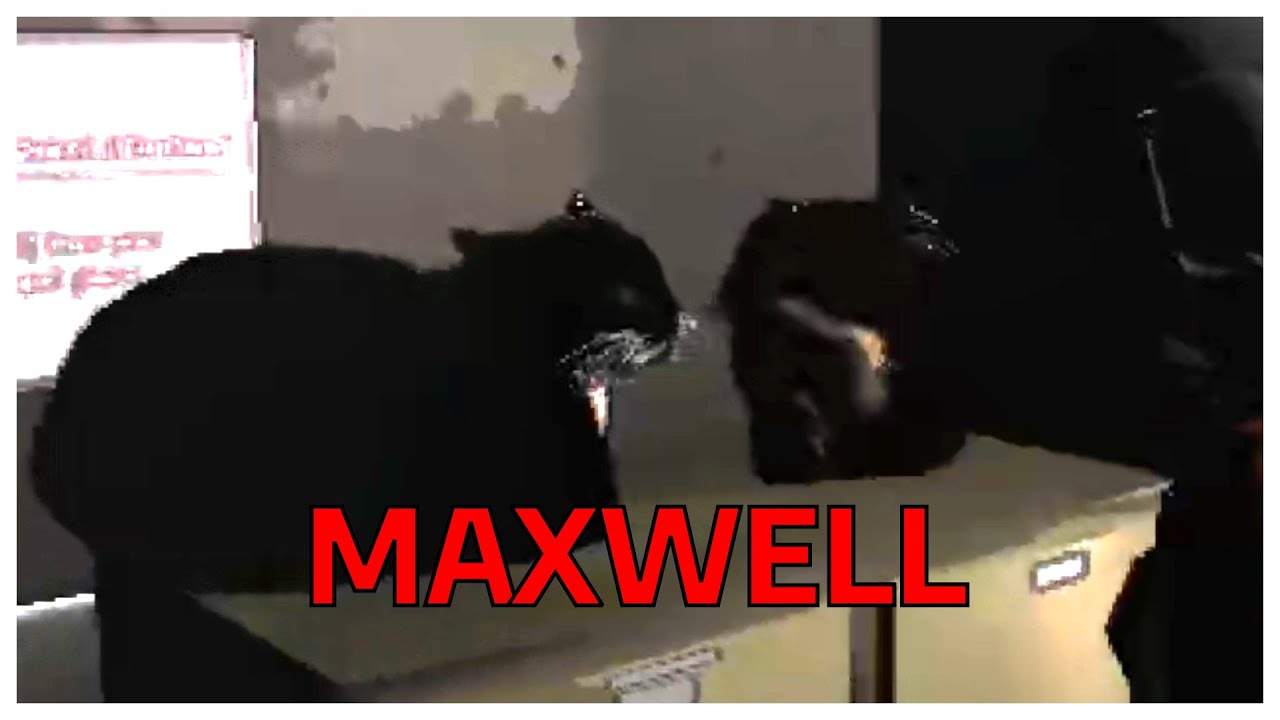 WE FOUND MAXWELL 2 and then this happens in Lethal Company - YouTube