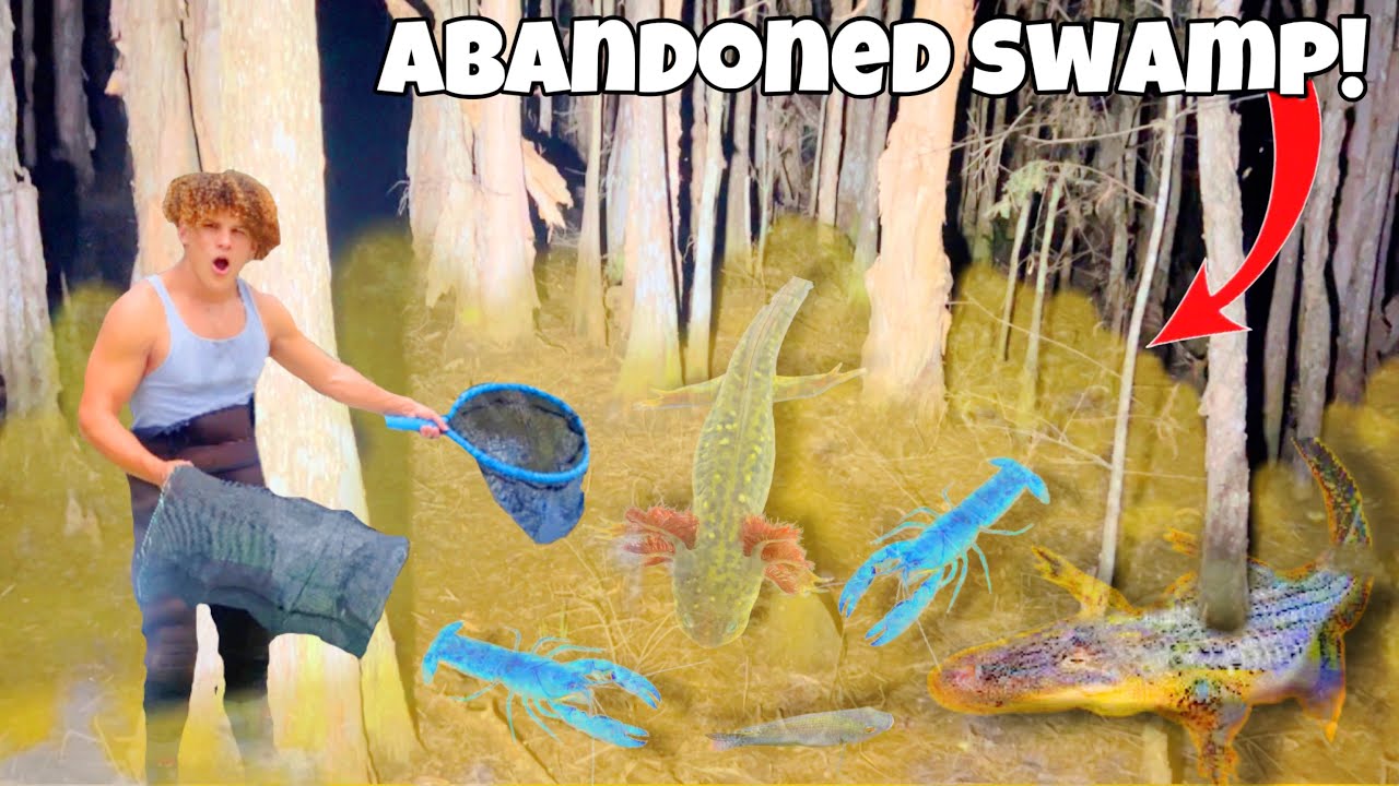 I Caught RARE FISH In Creepy ABANDONED SWAMP! - YouTube