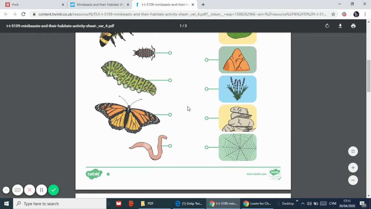 How to type and write on a Twinkl PDF - YouTube