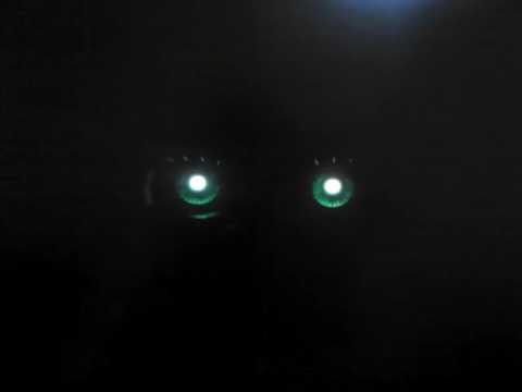 Fnaf 6 teaser NEW TWISTED ANIMATRONICS five nights at freddy's twisted ...