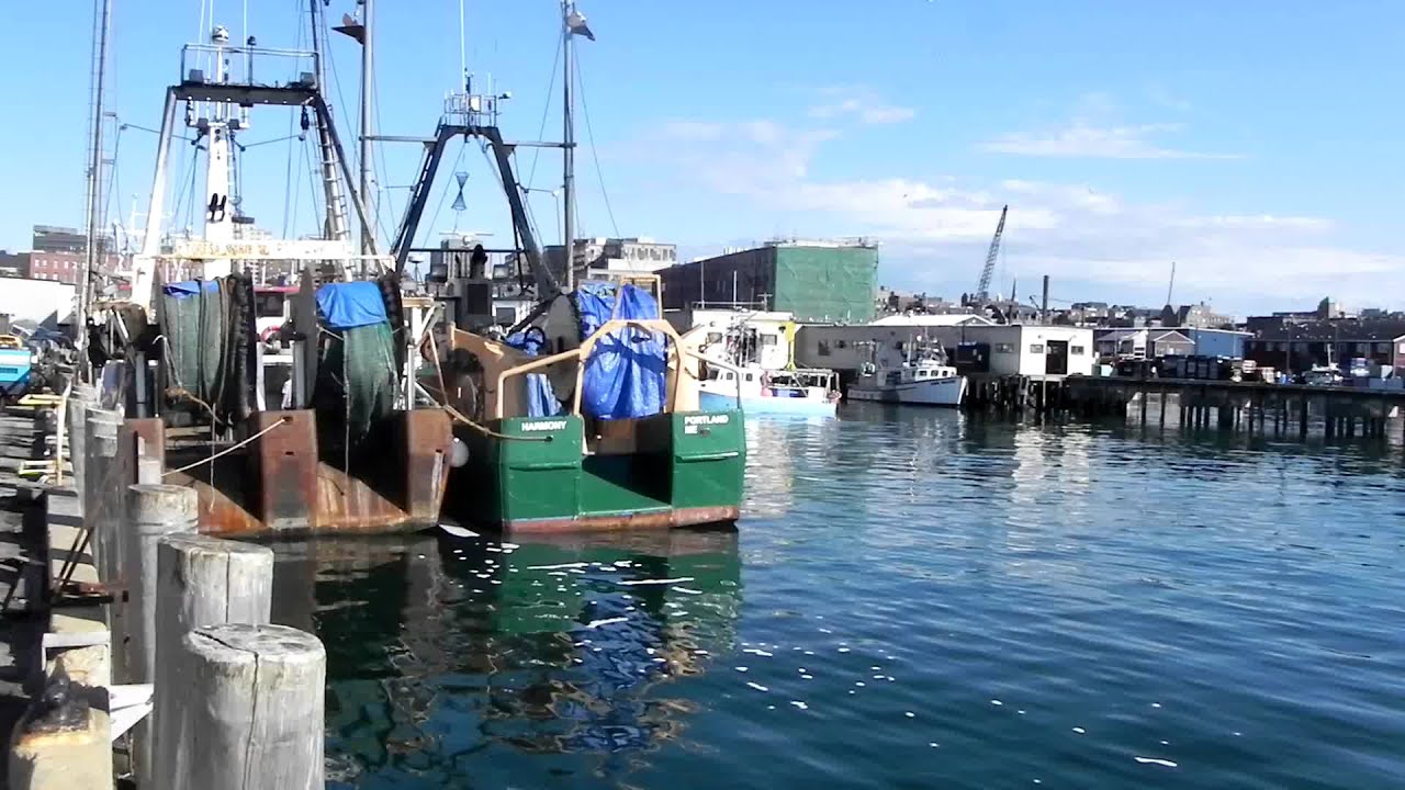 Anne Marie Off Loading at the Portland Fish exchange - YouTube