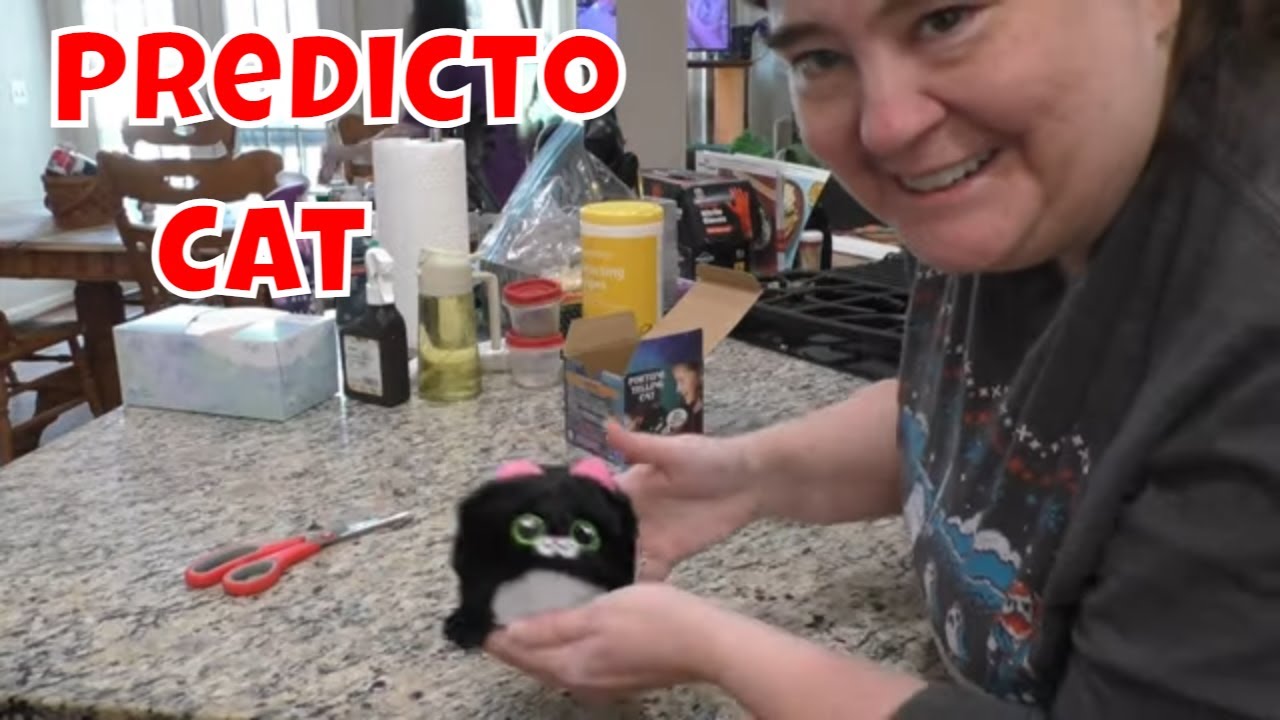 Predicto Cat From Amazon Review! 😻 - YouTube