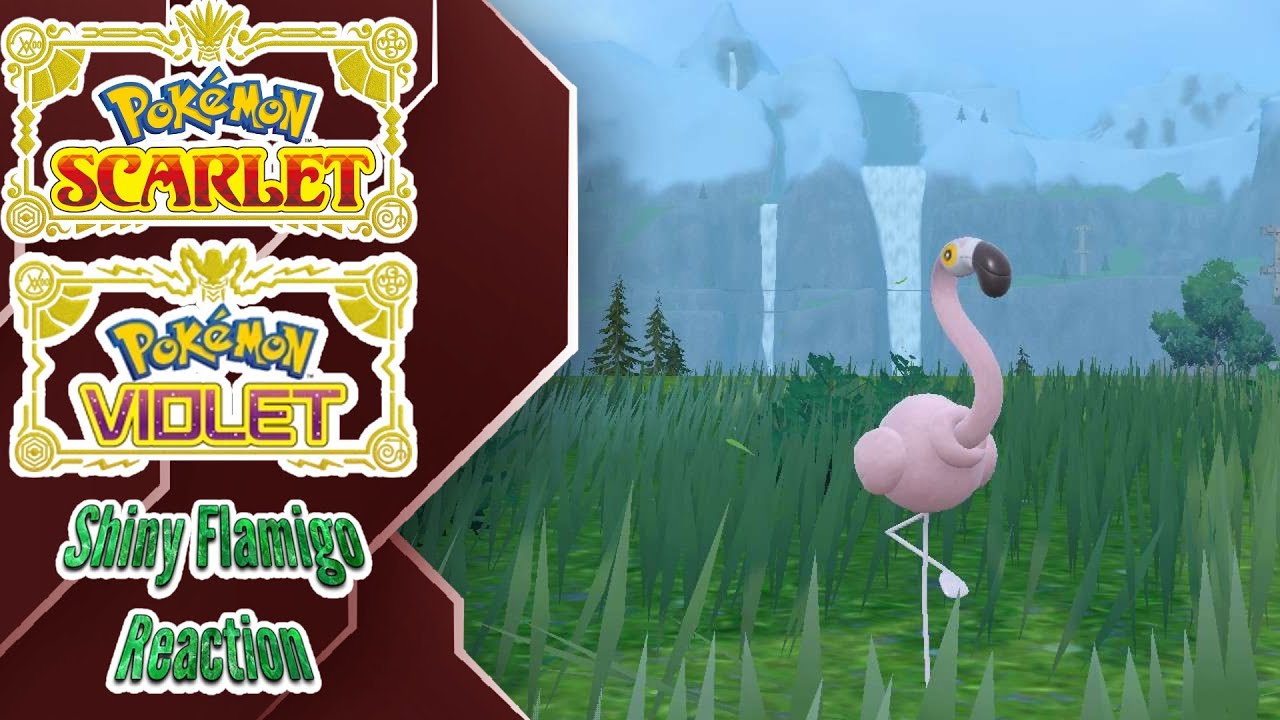 Shiny Flamigo! Pokemon Scarlet & Violet! - YouTube