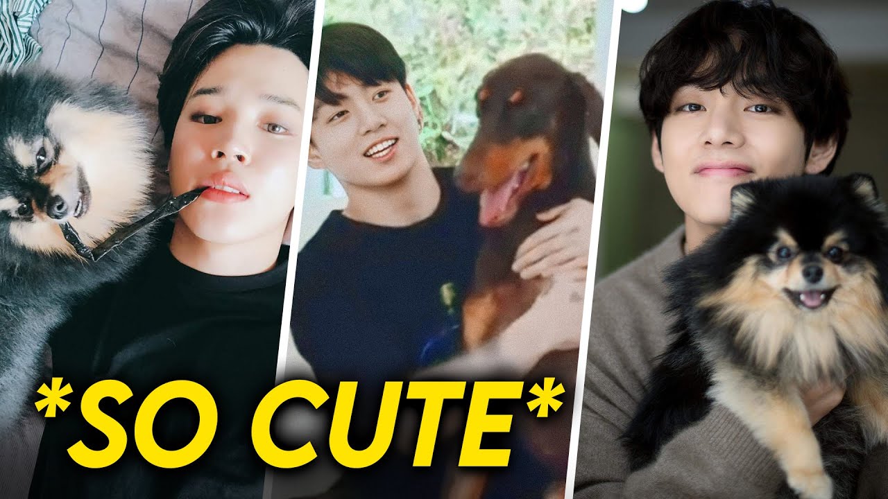 *THIS* BTS Member Takes Best Care Of His Pets! - YouTube