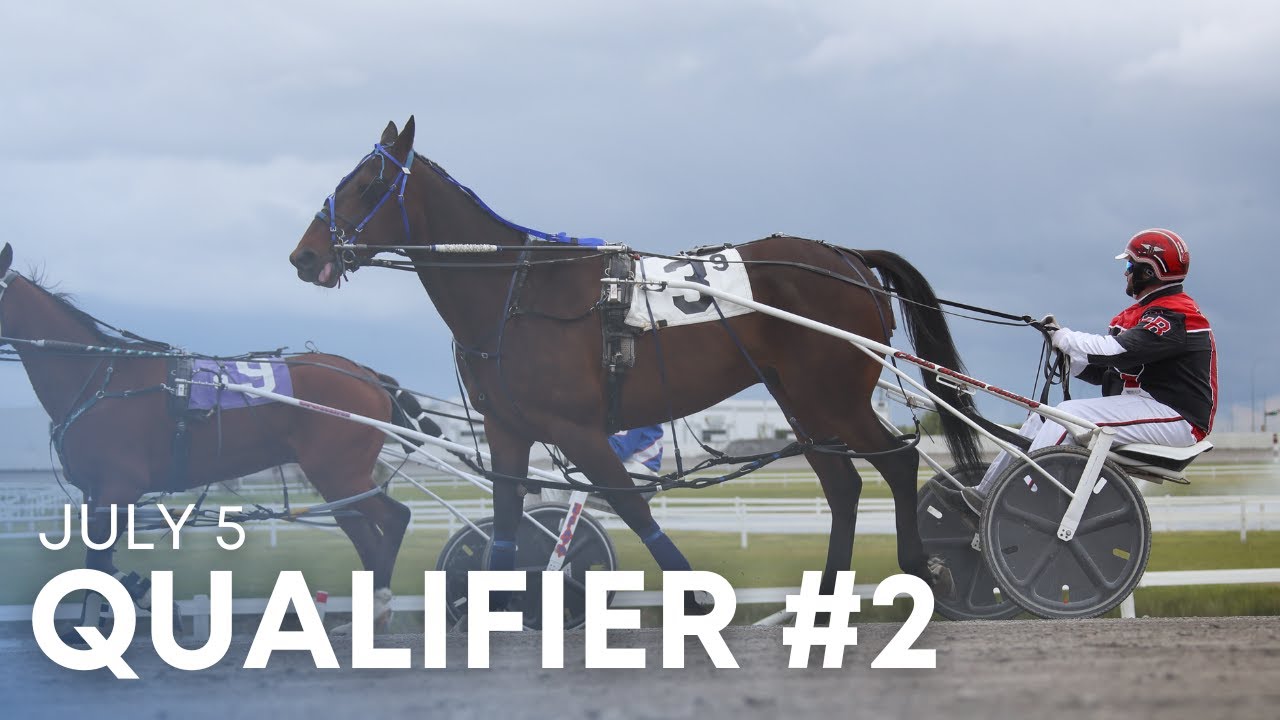 Century Downs Harness Racing Qualifier #2 - July 5 - YouTube