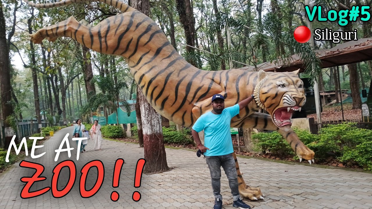 VLog#5 - Me At ZOO | dbGamingNetYt - YouTube