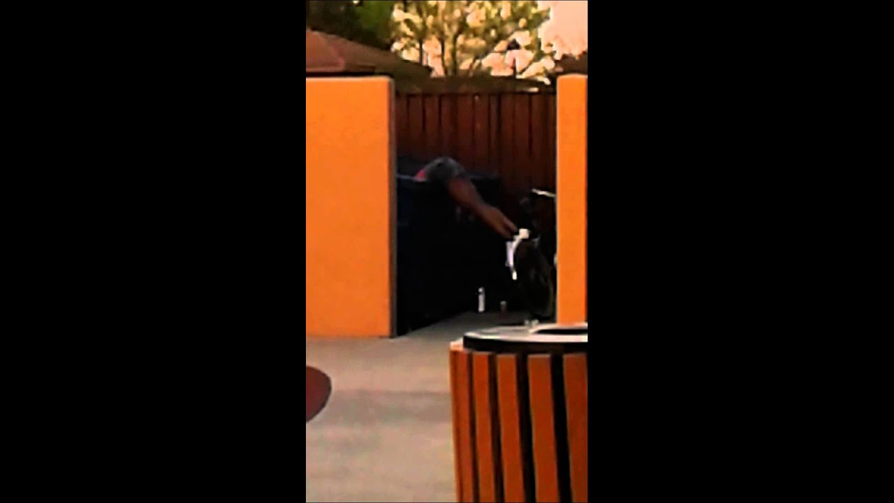 Lady Dumpster Diving - YouTube