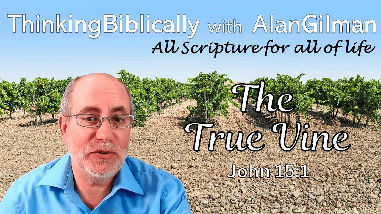 The True Vine (John 15:1) - YouTube