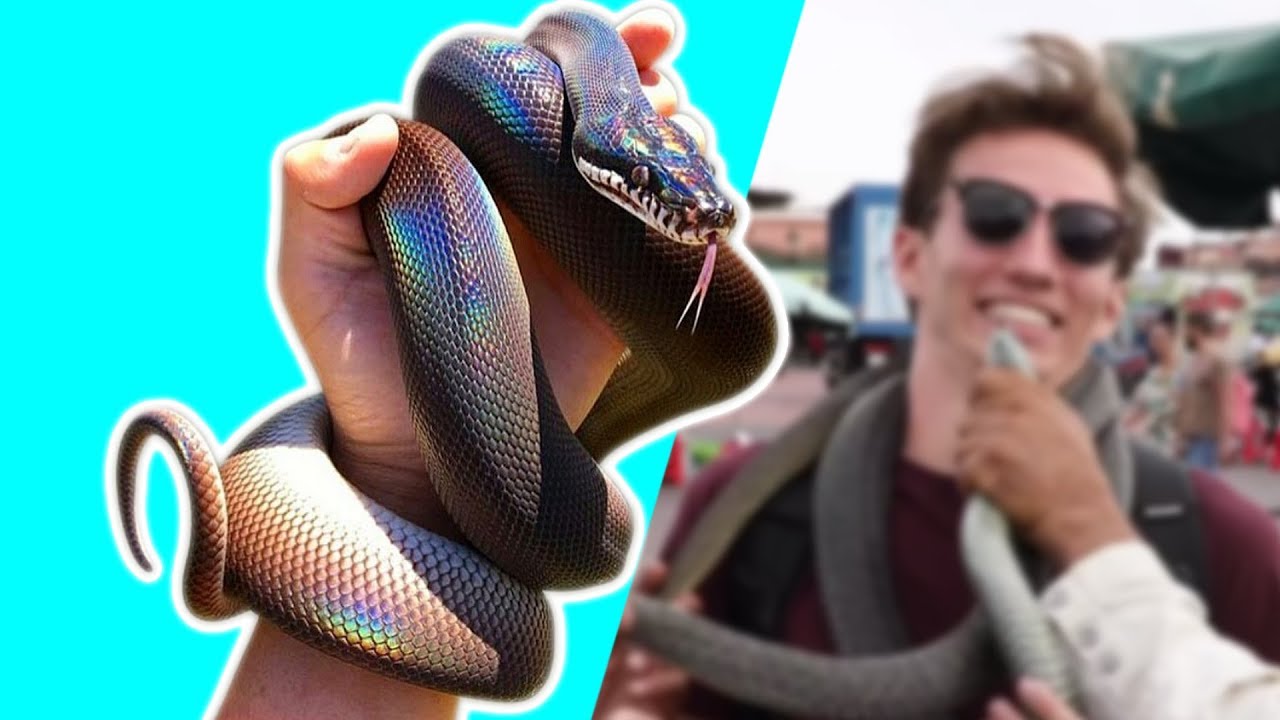 Awesome ZACH KING Magic Tricks Vine | Oddly Satisfying Zach King Magic ...