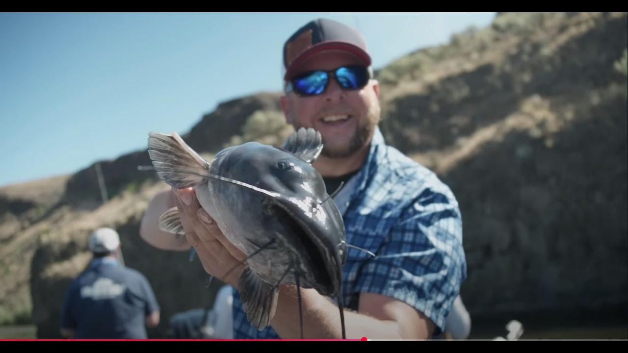 CATFISH Bobber Fishing! | River Walleye & Catfish Techniques | Rigging ...