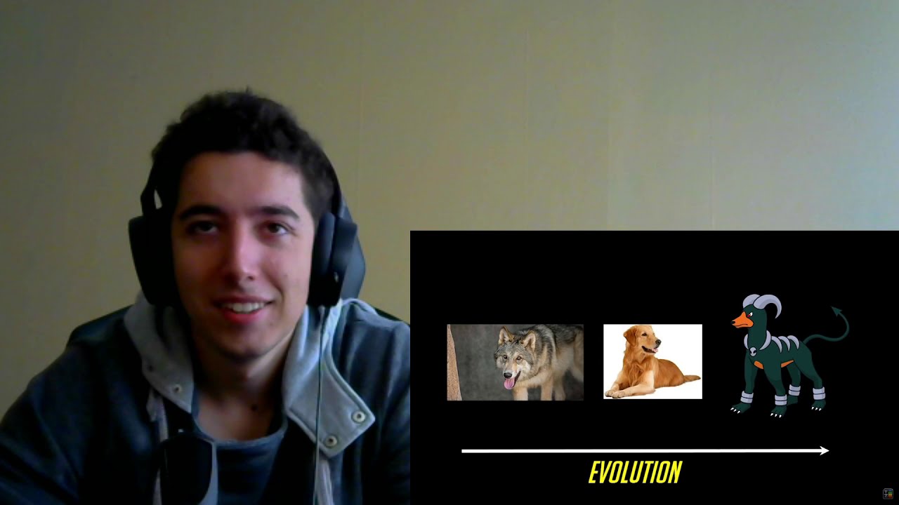 Elemental Type Moves The Secret Meta By TierZoo Reaction - YouTube