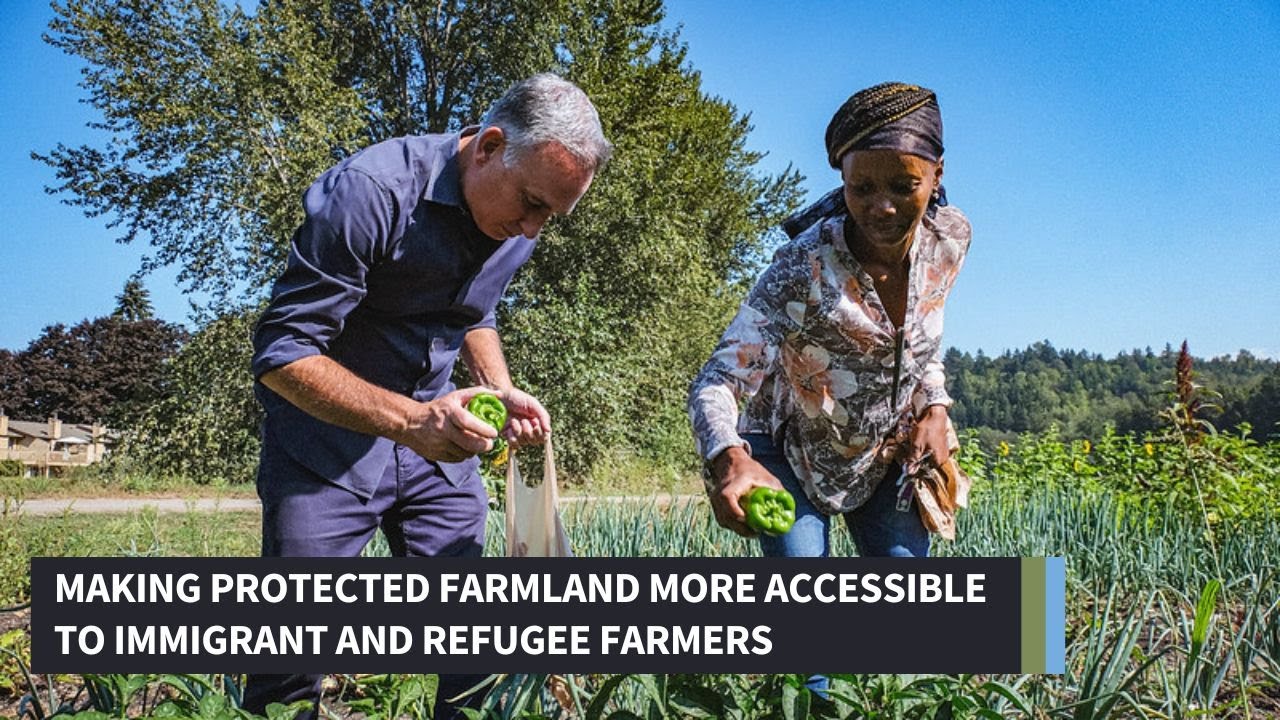 Making protected farmland more accessible to immigrant and refugee ...